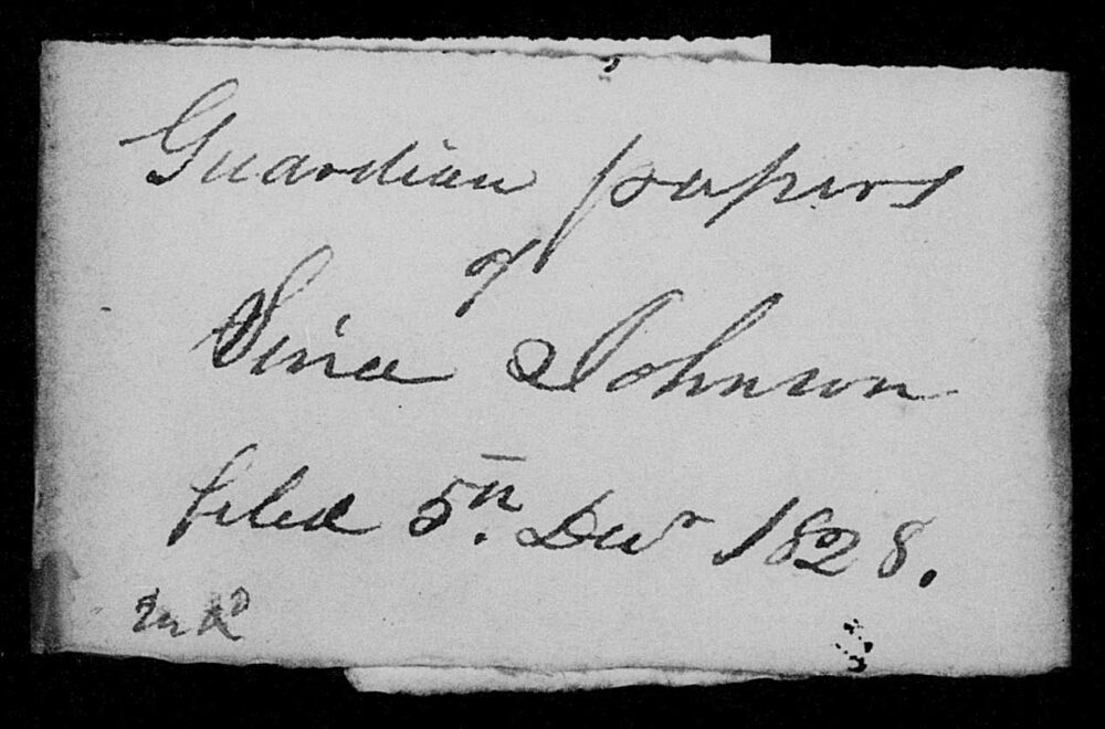 Guardianship Records Index Columbia County NY HollyGenealogy guardianship-records-index-columbia-county-ny-hollygenealogy